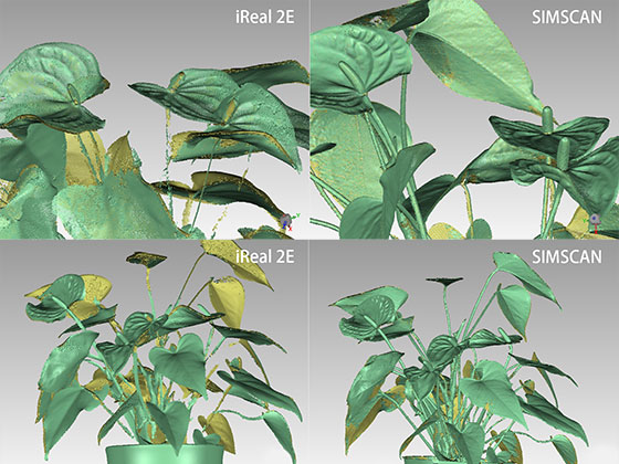 How to Choose a 3D Scanner for Plant Growth? - 3DeVOK