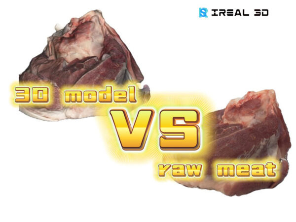 iReal M3 3D Scanner + BesTexture: Creating Realistic Textures for a 3D ...