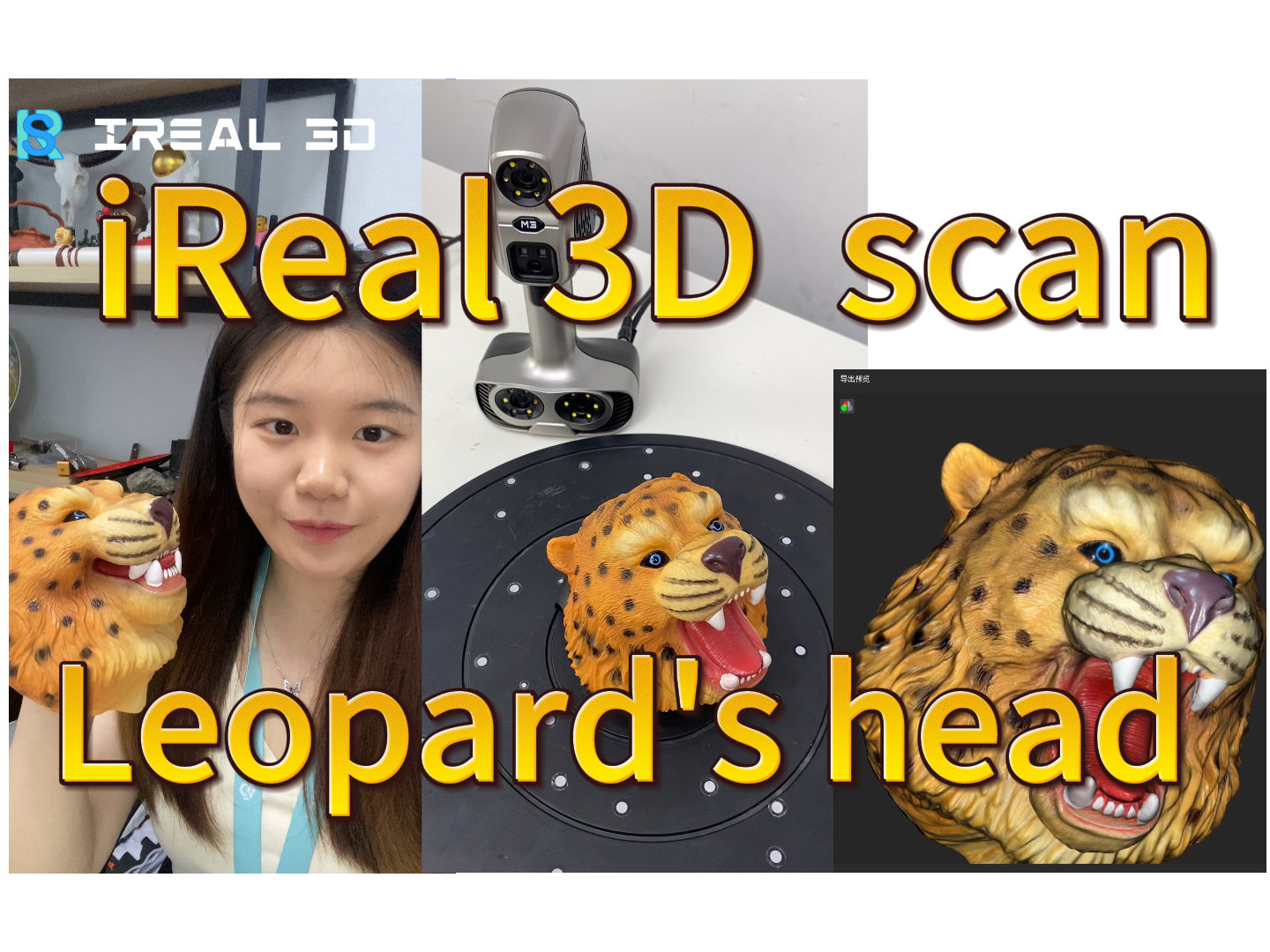 BesTexture - Can you imagine how vivid the 3D model of a leopard's head ...