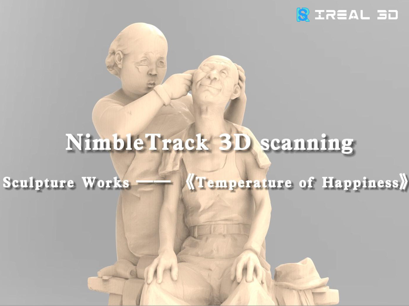 NimbleTrack Wireless 3D Scanning Sculpture for Online Display - 3DeVOK